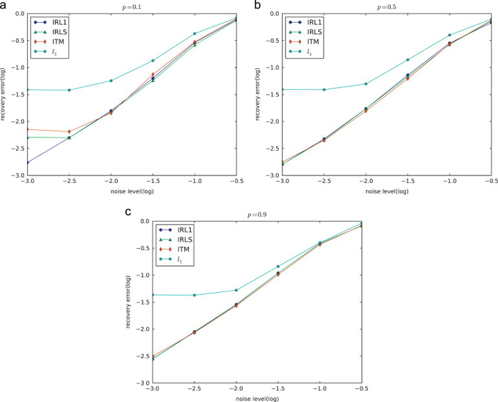 A Comparison Of Typical ℓp Minimization Algorithms Zero Lab