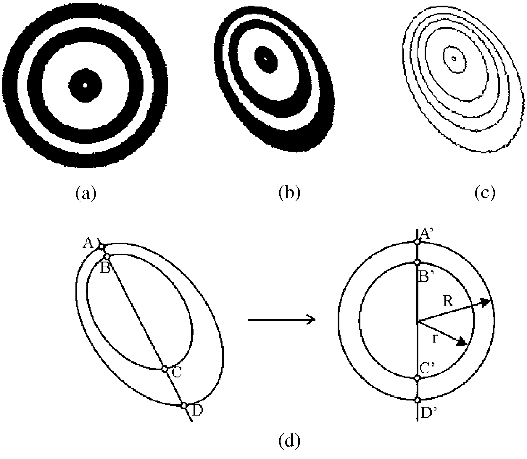 Correction and Rectification of Light Fields | ZERO Lab